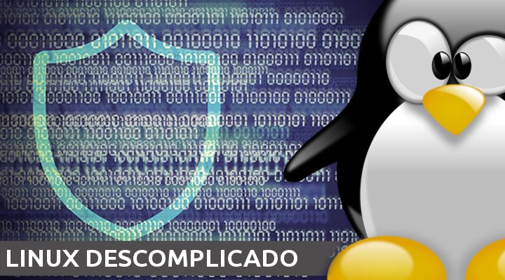 Por quê usuários Linux devem se preocupar com riscos em segurança e o ...