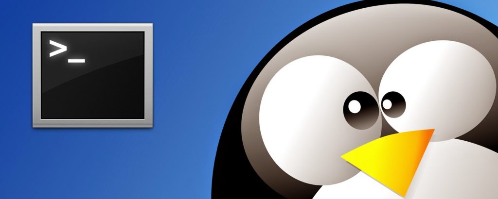 Comandos Linux: Dominando o comando TOP | Linux Descomplicado